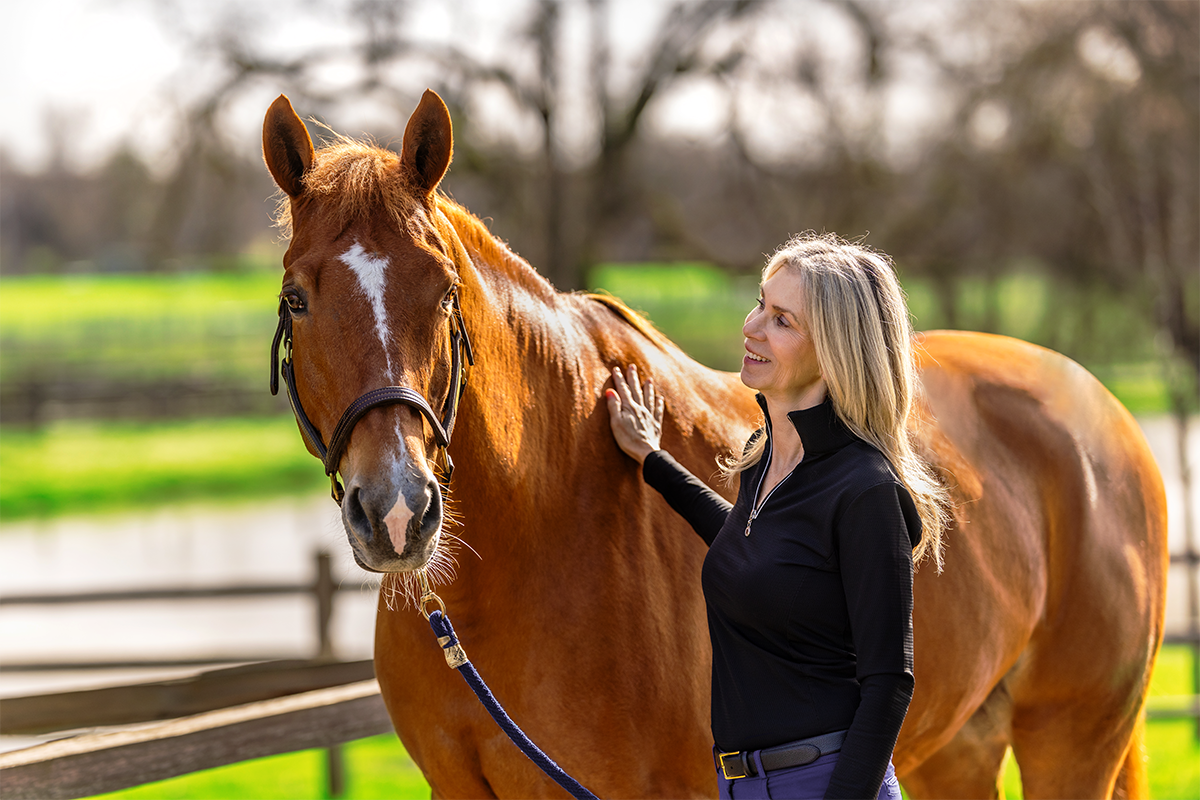 Antech — Equine Diagnostics